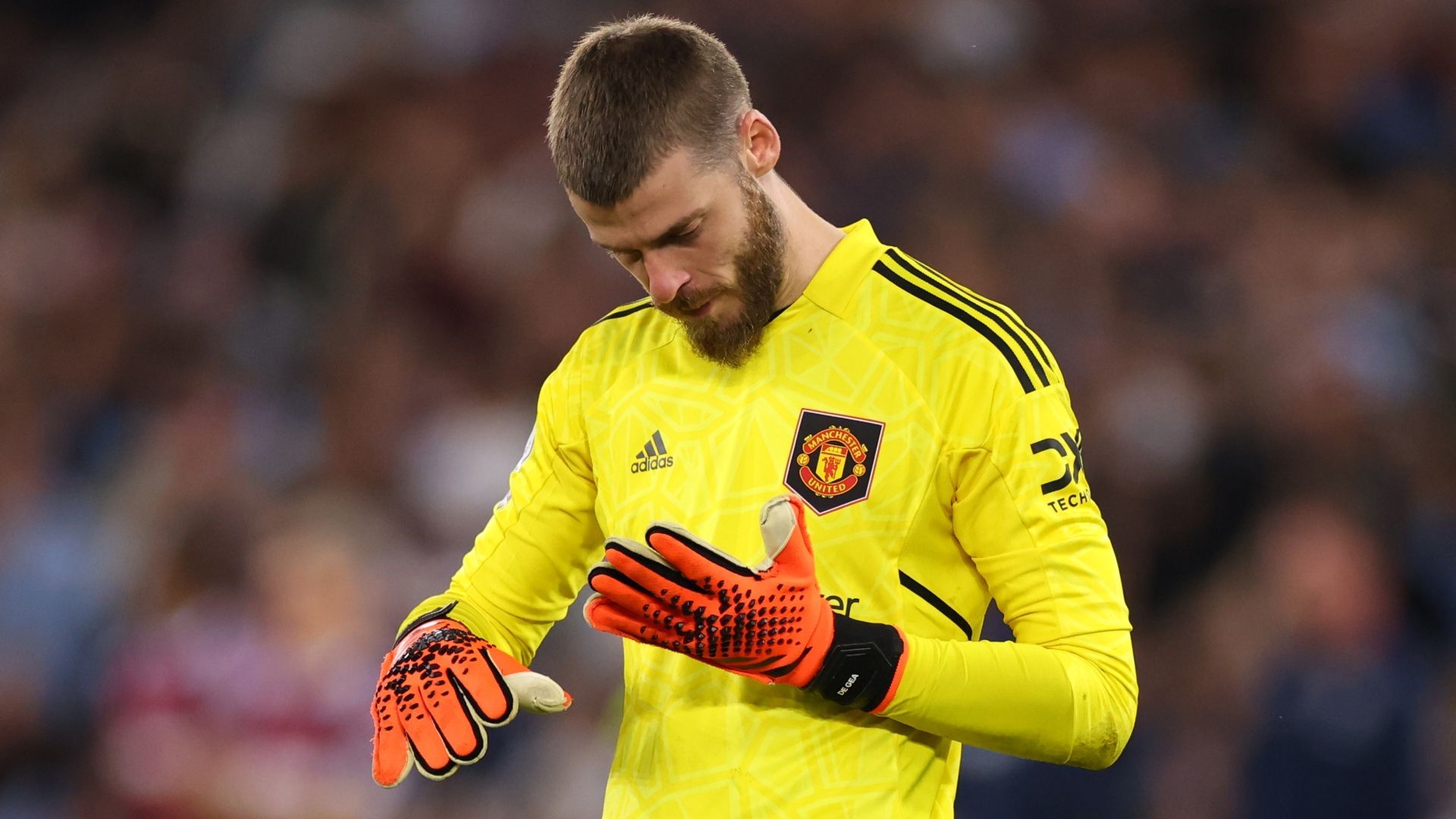 de-gea.jpeg
