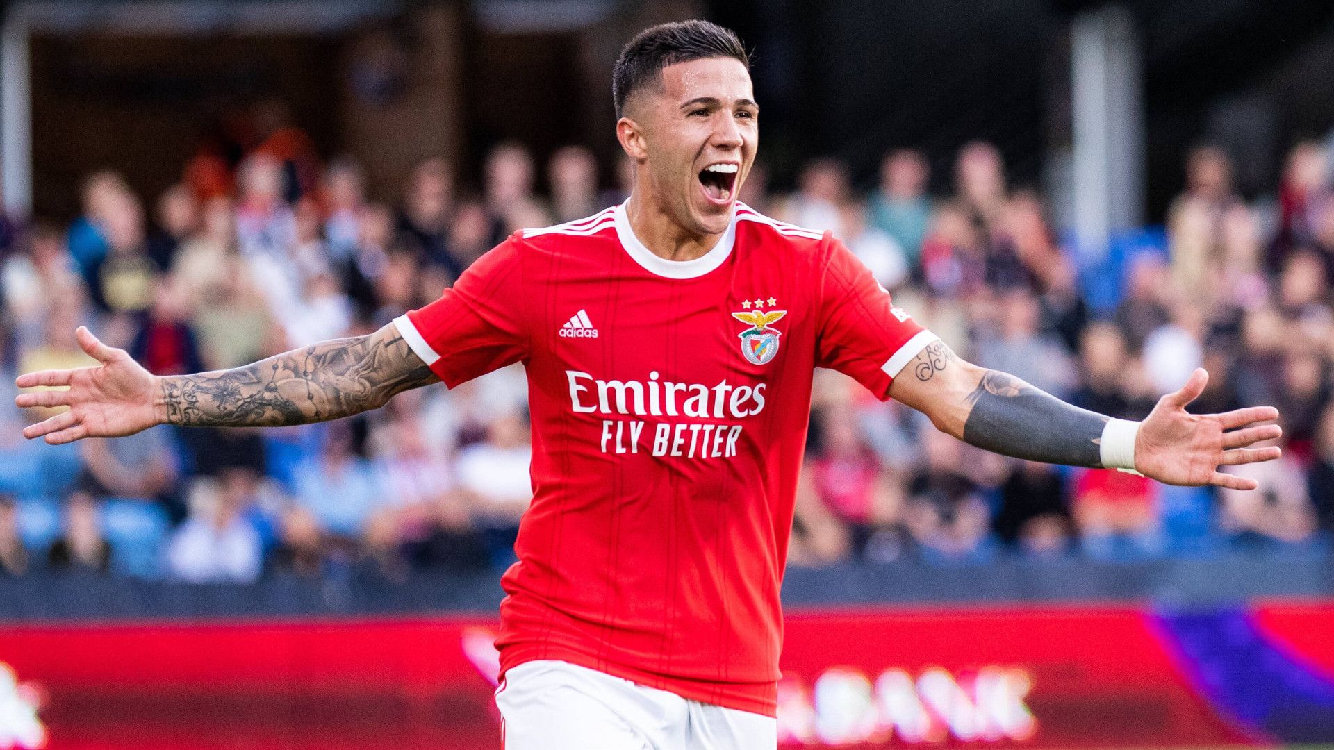 Mezzo miliardo vendendo 4 giocatori: il Metodo Benfica fa scuola! L’ad ...