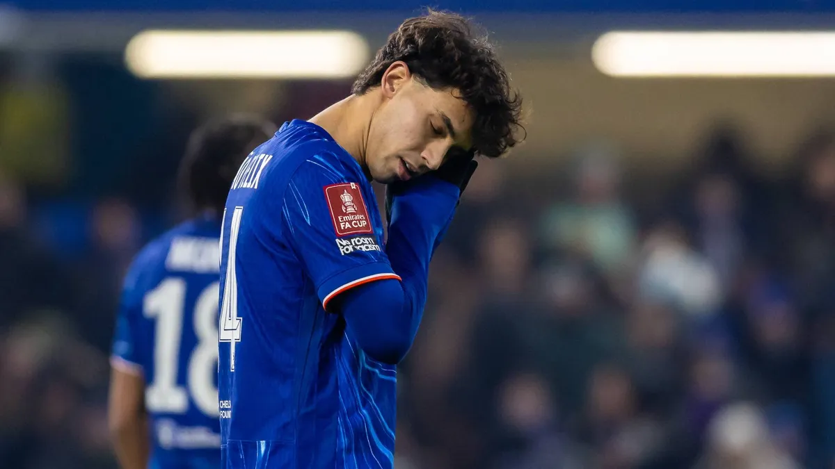 ( Ultimo aggiornamento : 17/01/2025 • 19:02 )