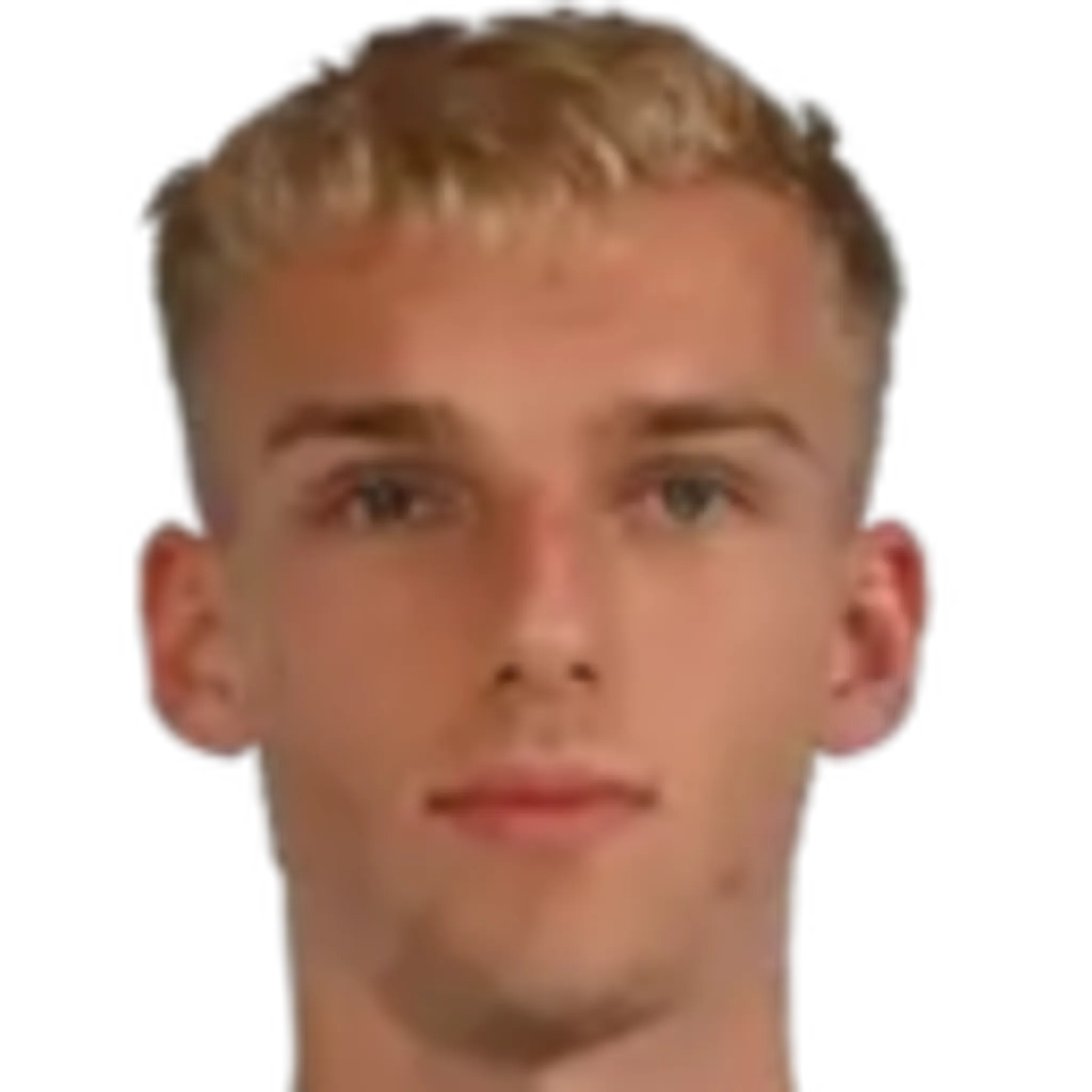 Ecco il video che è costato il licenziamento al falconiere Juan Bernabè ...